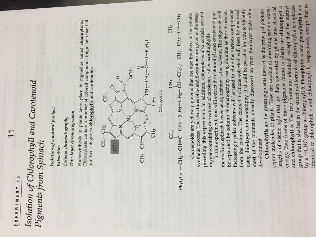 Chemistry lab report( isolation of chlorophyll from spinach ...